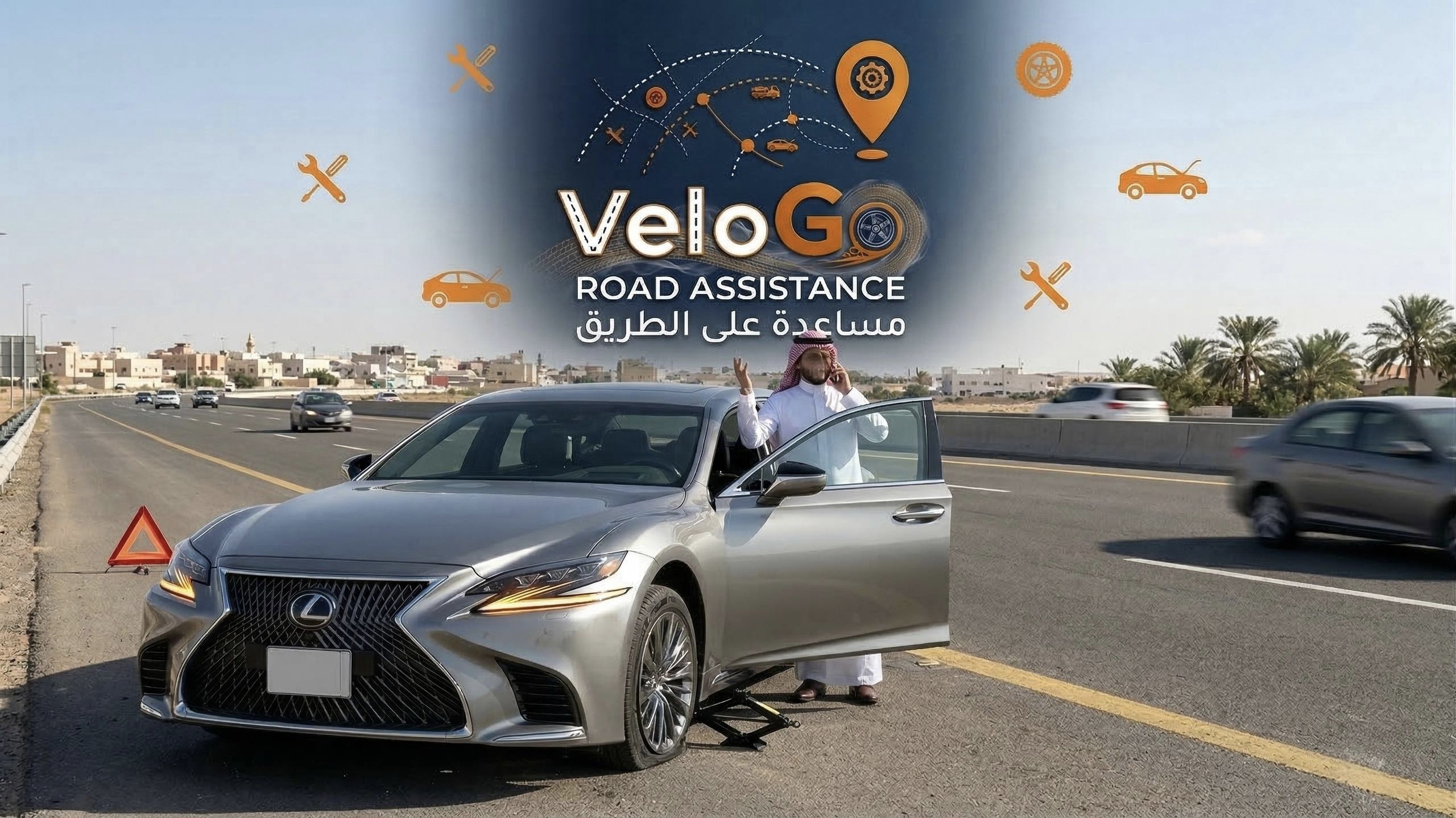 VeloGo Services